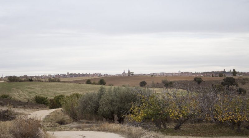 Territorio: Comarca Sur de Madrid - ORIGEN