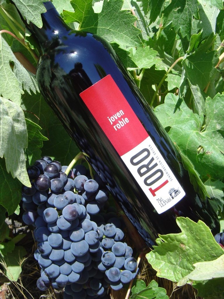 Toro: La fascinante historia de unos vinos elegantes y expresivos