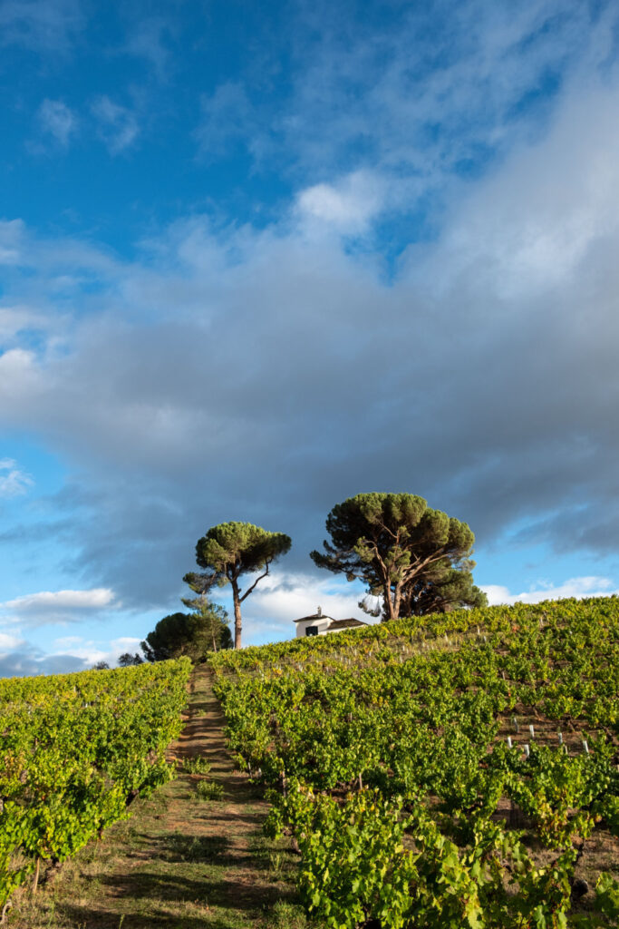 El Bierzo, la tierra evocadora